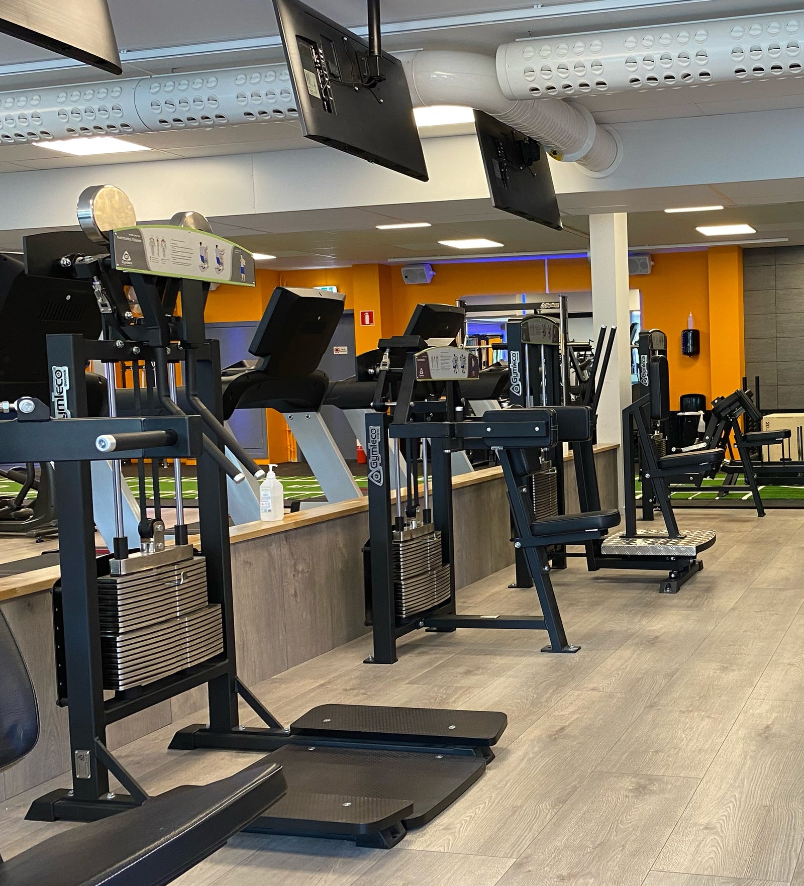 Seated Row Machine for Targeted Back Workouts – Gymleco