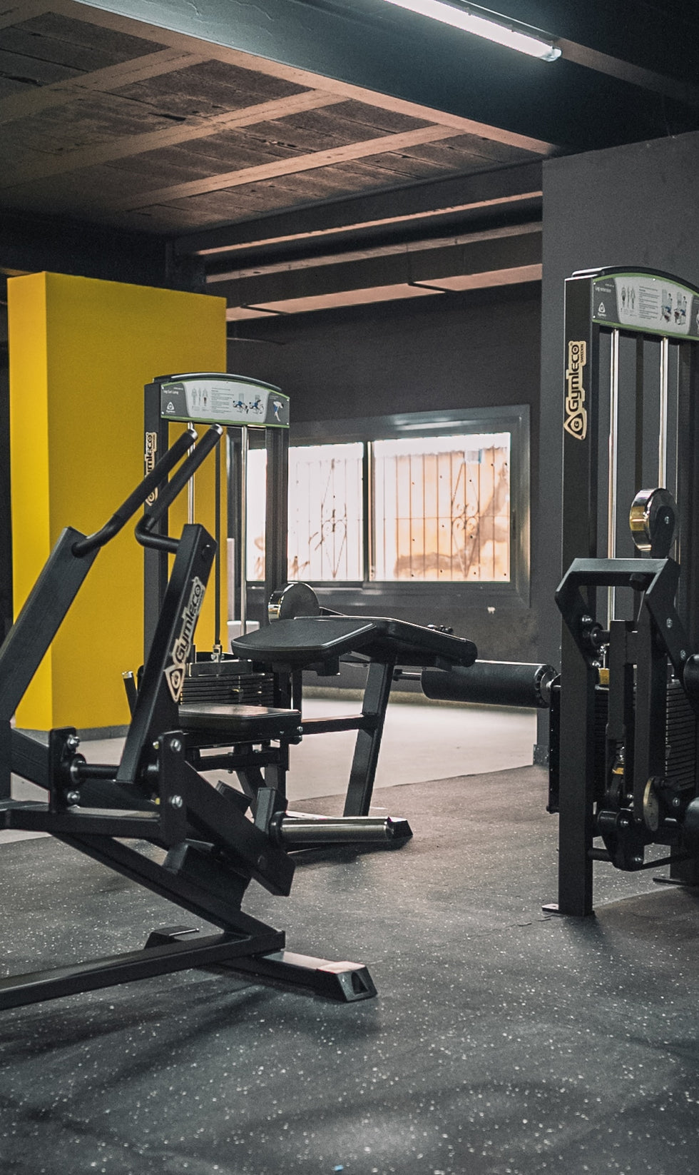 Lying Hamstring Curl Machine for Hamstring Development – Gymleco