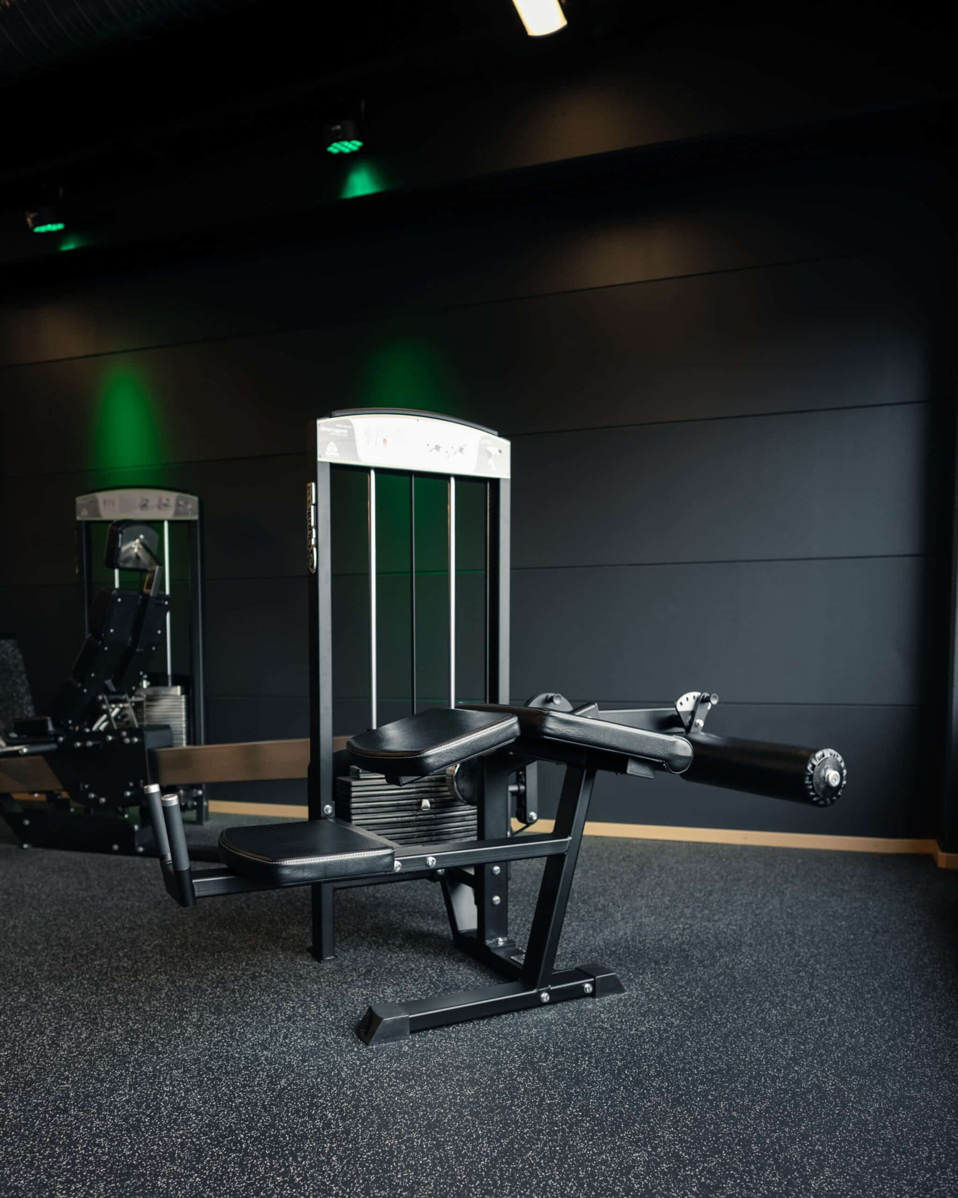 Lying Hamstring Curl Machine for Hamstring Development – Gymleco