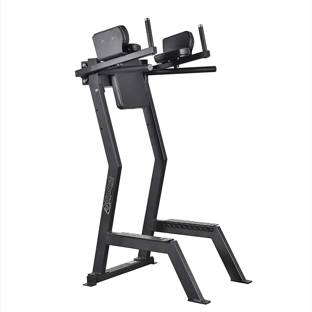 Leg Lift Machine with Dip Bar – Gymleco