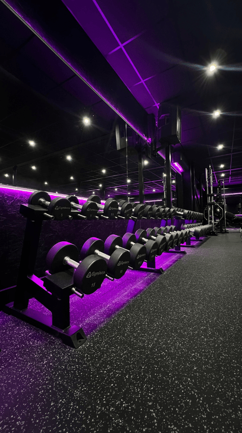 King Gym UK – Gymleco
