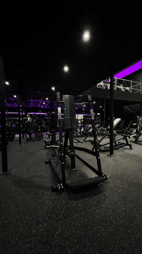 King Gym UK – Gymleco